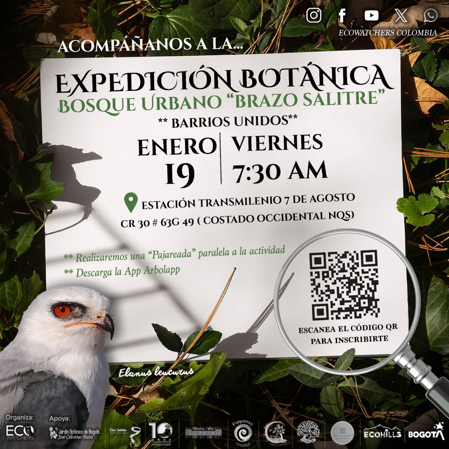 Gran Expedición Botánica en el Bosque Urbano Brazo Salitre con ...